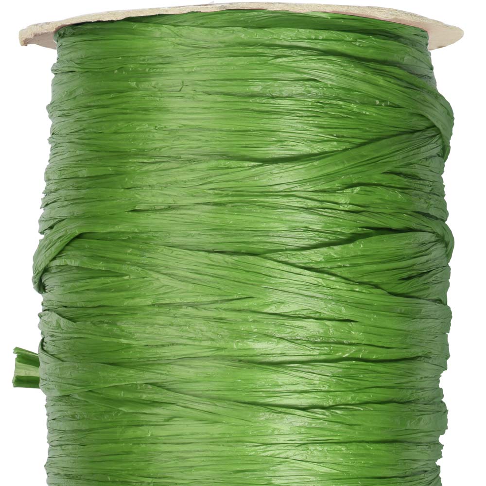 BABCOR Packaging: Celadon Matte Rayon Raffia - 100 Yards - Bundle of 3 ...