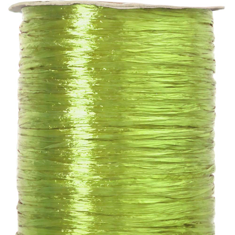 BABCOR Packaging: Robins Egg Blue Pearlized Nylon Raffia - 100 Yards ...