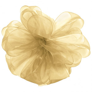 Ribbon - BABCOR Packaging